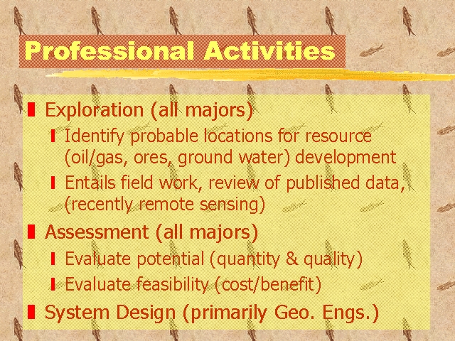 Professional Activities