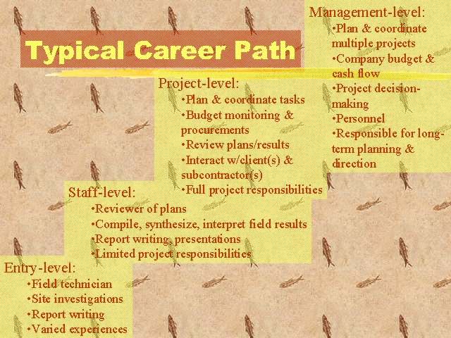 Typical Career Path